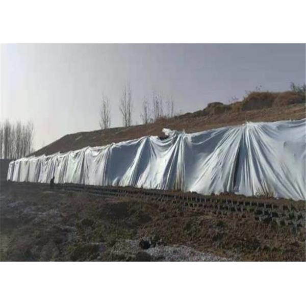 Quality Stabilize Highway Textured 1.6mm Geocell Road Construction for sale