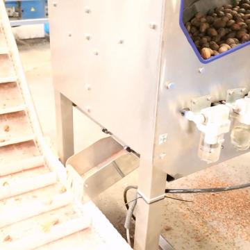Quality CE Certified Dry Cracking Pecan Shelling Machine 100000 Nuts Capacity 220V for sale