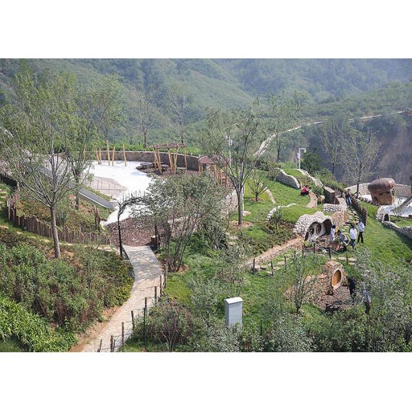 Quality Wood Outdoor Playground Equipment Forest Adult Playground for sale