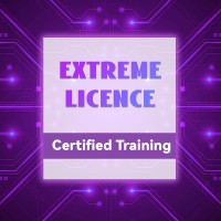 Quality Extreme Networks VX-9000-ADP-16 Virtualized WLAN Controller Software-Based for sale