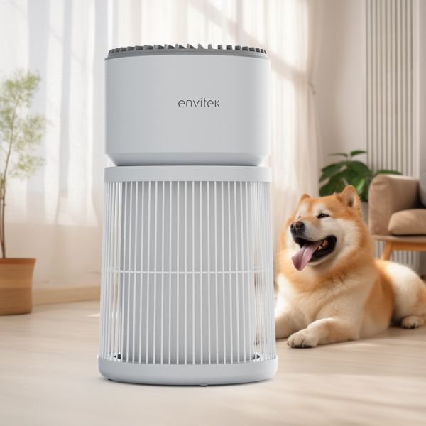 Quality Portable Smart Hepa 13 Air Purifier Smoke Eater 600 Sq Ft Custom for sale