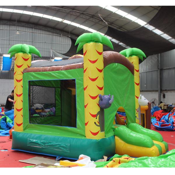 Quality 5-7 Years Age Range Inflatable Bouncy Castle Combo with Customized Color Outdoor for sale