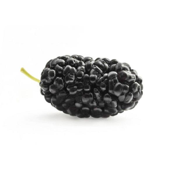 Quality Anthocyanin Fruit Mulberry Herbal Extract Powder For Food Additives for sale