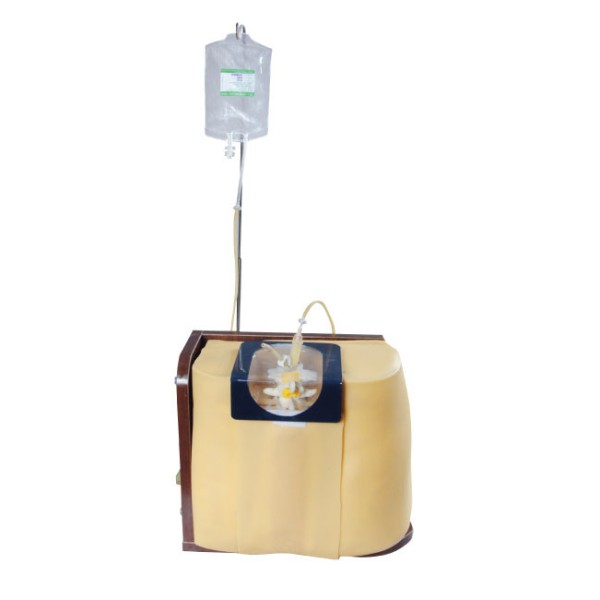 Quality Lumbar puncture Clinical simulation training doll for college training for sale