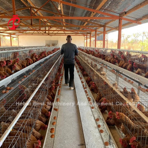 Quality Uganda 4 Tiers  Poultry Layer Cage For Sale Farm Chicken 100 KG Mia for sale