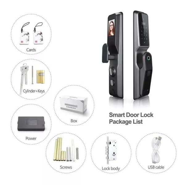 Quality TH-103D Face recognitional Door Lock for sale