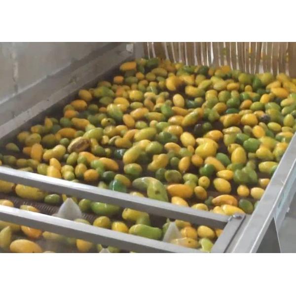 Quality Mango paste / pulp processing plant SS 304 PET bottle 3 in 1 filling equipment for sale