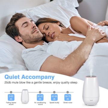 Quality Usb Household Double Switch Air Purifying Aroma Diffuser for sale