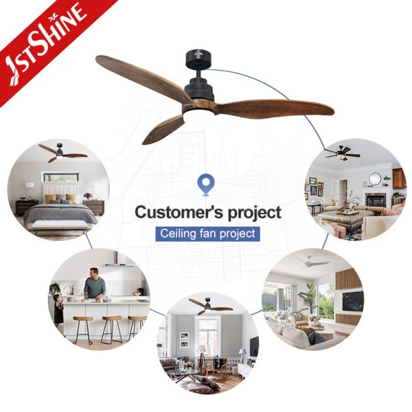 Quality New Arrival DC Motor 3 Solid Blades Decorative Led Ceiling Fan With Light for sale