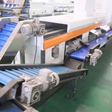 Quality Unlocking Efficiency Revolutionizing Palm Dates Sorting Machine with Cutting for sale