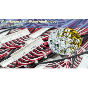 Quality Optek / TT Electrical Wiring Harness OVLLB8C7 OVLLG8C7 Standard LEDs Through for sale