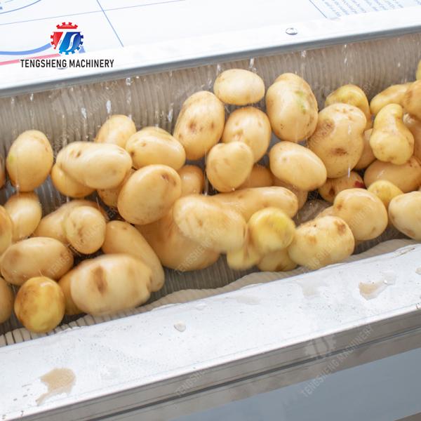 Quality Brush washing and hoisting production line Ginger Potato Carrot Taro Sweet for sale