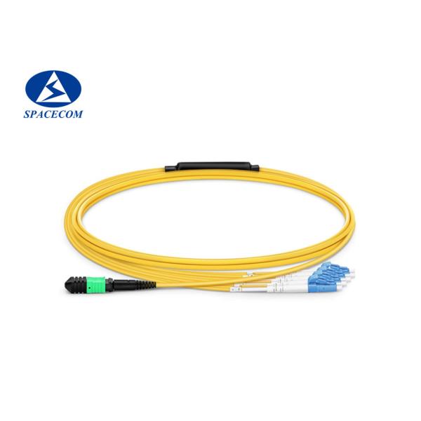 Quality MPO/MPT Fan Out Fiber Cable SM 5M PC Polish Cross Connection AB/BA for sale