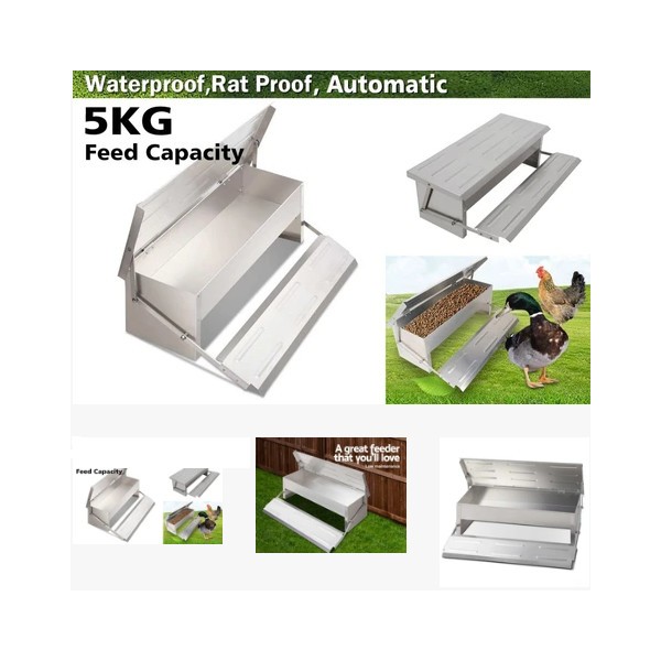 Quality CE Anti Feed Theft 5kgs Automatic Timer Chicken Feeder for sale