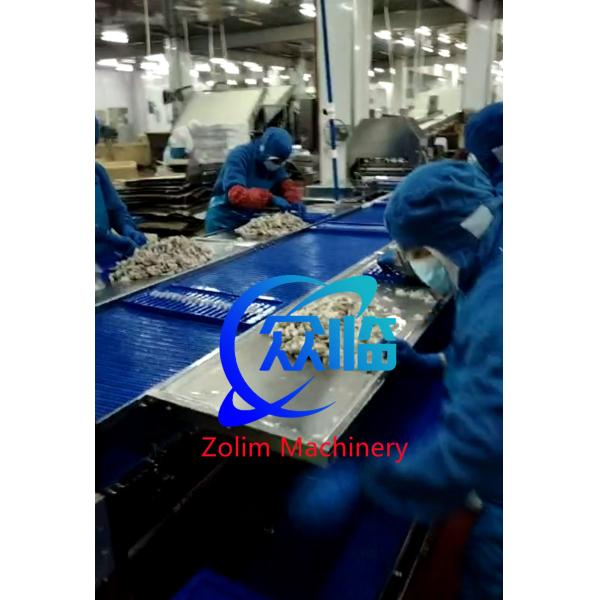 Quality New Design Shrimp Stretching Line, Tempura Processing Line, NOBASHI Processing for sale