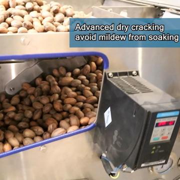 Quality CE Verified 380V Pecan Shelling Machine With High Perfect Kernel Rate for sale