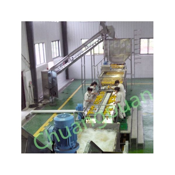 Quality Stainless Steel Mango Pulp Machine For Streamlined Mango Processing for sale