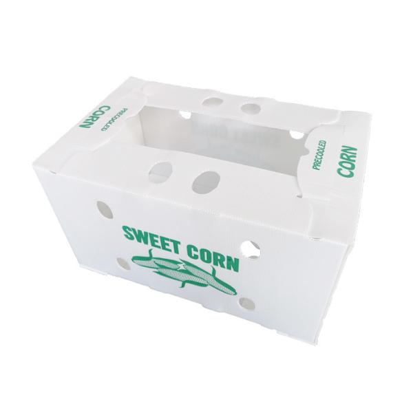 Quality Recyclable Waterproof 750gsm Corn PP Packaging Box for sale