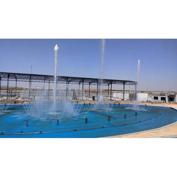 Quality Customized Music Dancing Floating Water Fountains for sale