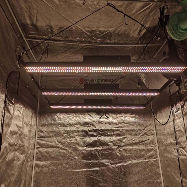 Quality BAVAGREEN Samsung LED Grow Light Bar for sale