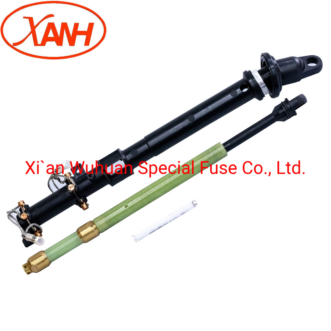 Bay-O-Net Tap Changer Switch Fuse for Oil Transformer Prnt4-15.5/80