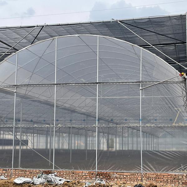 Quality Agriculture Planting Plastic Sheeting Large Scale Steel Frame Greenhouse Multi for sale