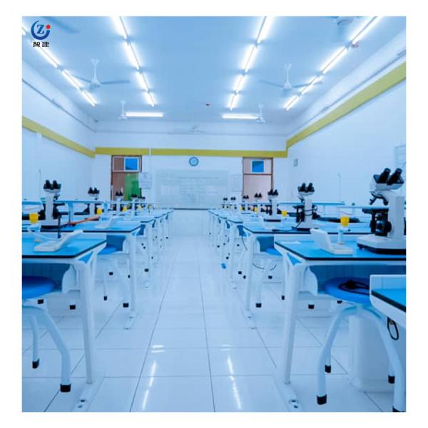 Quality Chemistry Biology Physics Student Lab Furniture Anti Alkali Ergonomic Classroom for sale