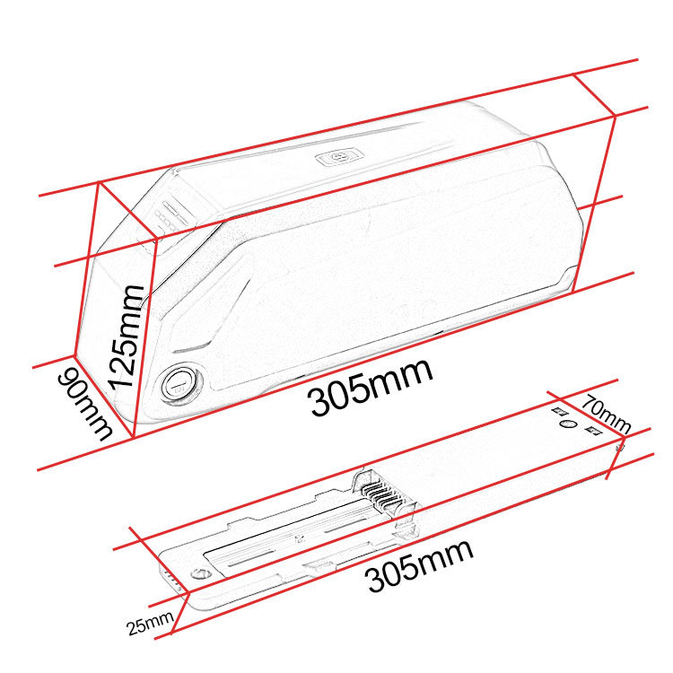 Replacement Hailong 48V 1000W Electric Vehicle Battery with Charger