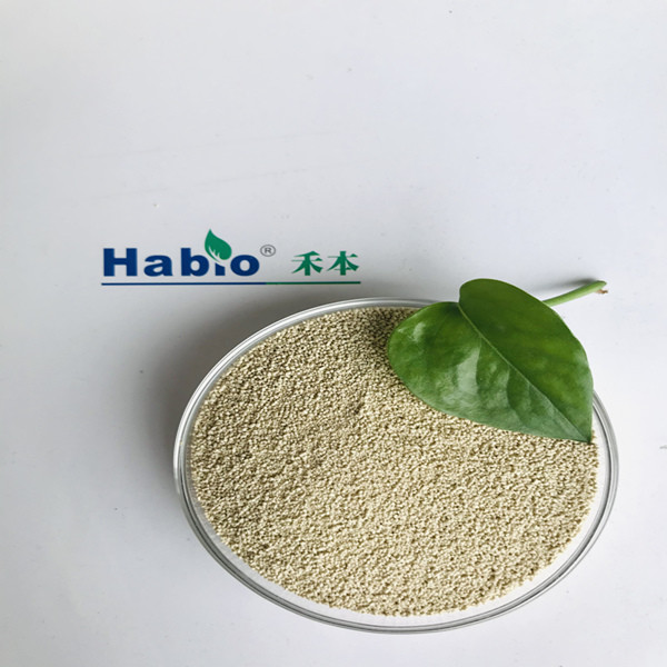 Quality Reliable Lipase Enzyme Powder Feed Additive Lipase Powder 50,000 U/G-300,000U/G for sale