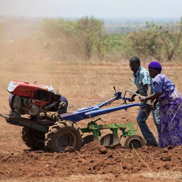 Quality Farm Tractor 12hp 15HP 18hp 22hp 25hp Diesel Disc Plow Implements Cultivator Disc Plough Walking Tractor Disc Harrow for sale