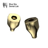 Quality Healing Capsule Device Blue Sky Implant Scan Body Transfer Coping for sale