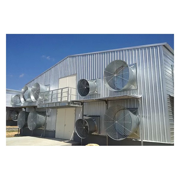 Quality Modern Designed Fabrication Chicken Coop Steel Frame Customized Dimension for sale