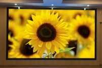 Quality High Definition P2.97 Indoor Rental Series LED Display Strips for Bright Bus for sale