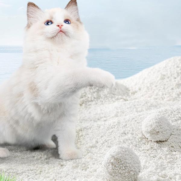 Quality Biodegradable Tofu Cat Litter Bulk Eco Friendly Clumping Effect Cassava for sale