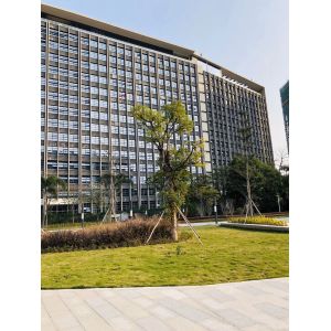 China Factory - Hefei Purple Horn E-Commerce Co., Ltd.