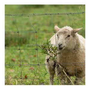 Quality Steel Animal Fence for sale