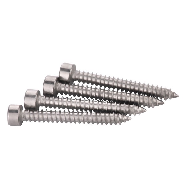 Quality Cylindrical Head Hex Slot Self tapping screws for sale