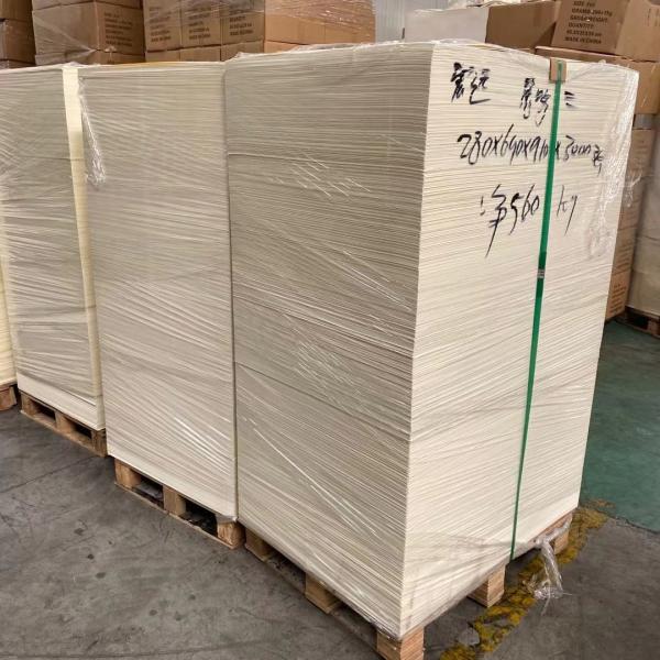 Quality Double PE Coated Paper Cup Sheet 260GSM Flexo Printed for sale