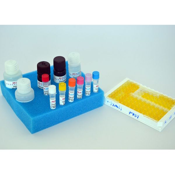 Quality High Recovery Histamine Enzymatic Assay Kit With Rapid 10 Minutes Test Time for sale