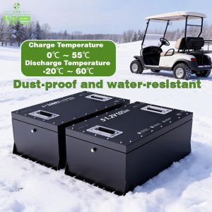 Quality CTS 36V 48V 72V 100Ah 105Ah 200Ah LiFePO4 Lithium golf cart battery with Smart for sale