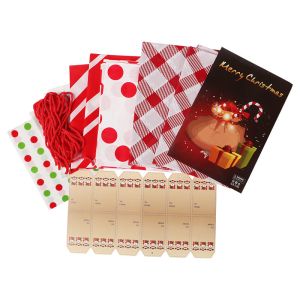 Quality Heavy Duty Set Flat PE Christmas Plastic Bags With String Ties for sale