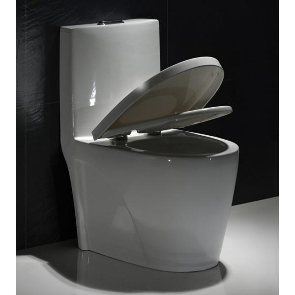 Quality Map1000 Dual-Flush Elongated One-Piece Toilet Seat Included Small Bathroom for sale