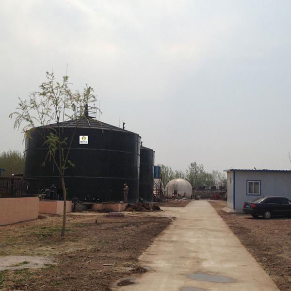Quality N2O Small Biogas Plant Project Methane Biogas Storage Balloon for sale