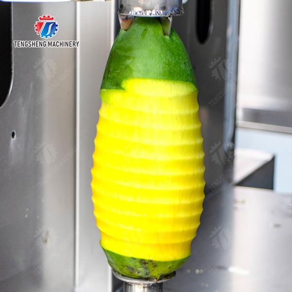 Quality Melon and fruit double-head with single cutter peeling machine papaya chieh-qua for sale
