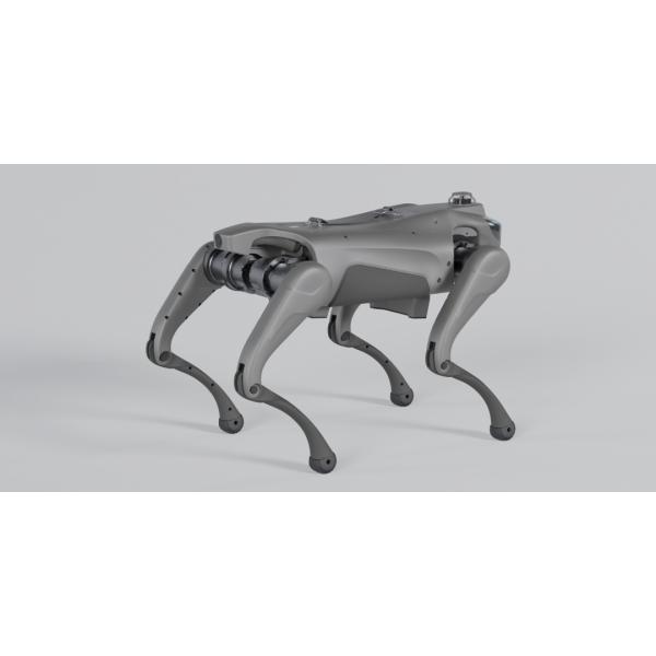 Quality Intelligent Robot Dog With 2D LiDAR L1 Automatic Telescopic Handle Strap For for sale