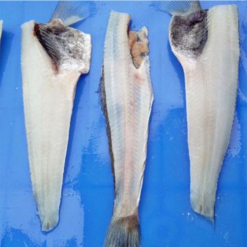 Quality 1500w Fish Fillet Processing Machine Reduce Artificial Motor Commercial for sale