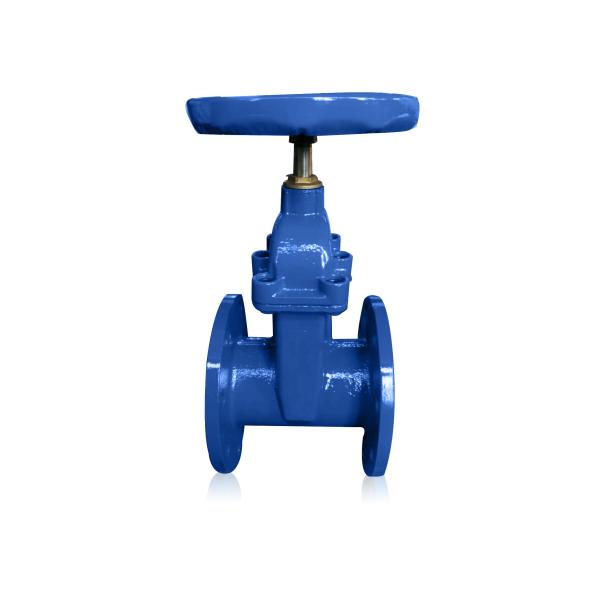 Quality F4 QT450 Elastic Seat Gate Valve PN16 Ductile Iron Sewage Gate Valve for sale