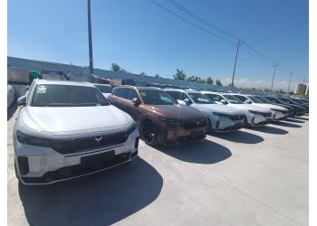 China Factory - Zhejiang Qiteng Supply Chain Management Co., Ltd.