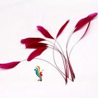 Quality Dyed Pattern Party Decoration Stripped Rooster Coque Feather 12-14inch / 14 for sale