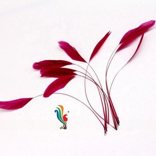 Quality Dyed Pattern Party Decoration Stripped Rooster Coque Feather 12-14inch / 14 for sale